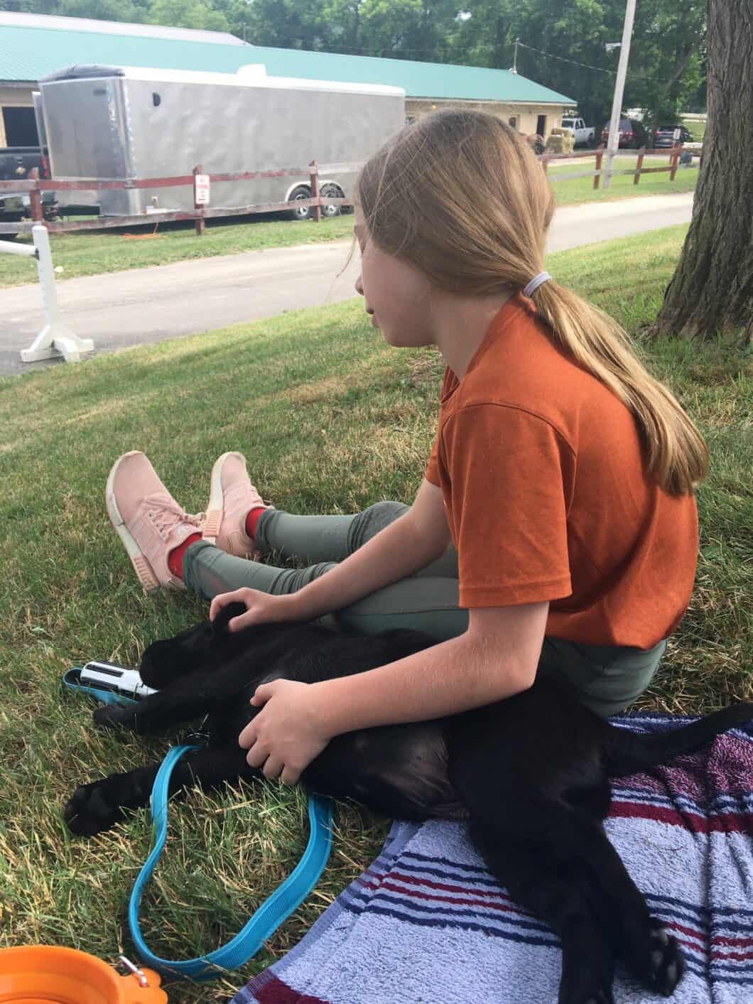 Testimonials | Endless Mountain Labradors